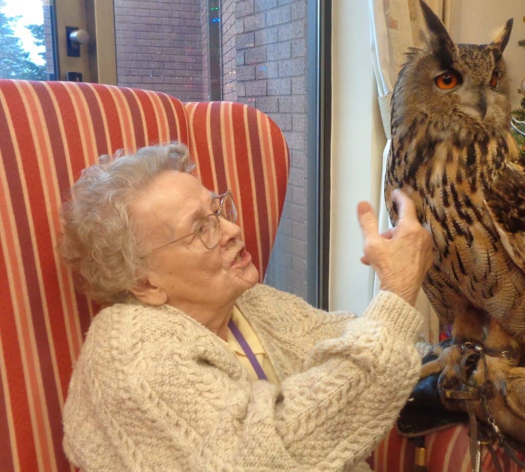 Cadogan Court residents beat winter blues with visit from feathered ...
