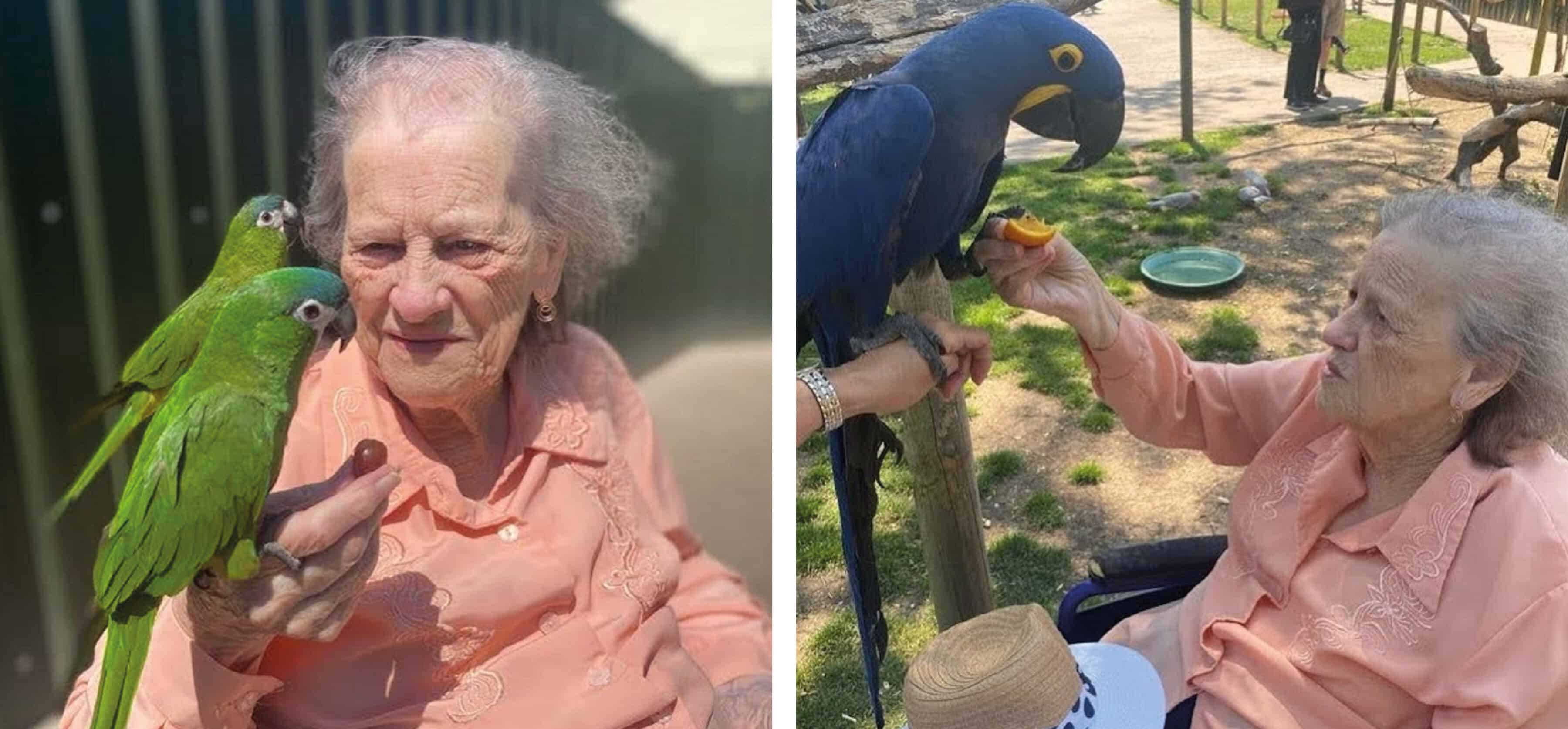 Dream come true for tropical bird loving Devonshire Court's resident - RMBI