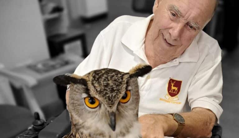 Charming owls bring joy to Prince Philip Duke of Edinburgh Court ...